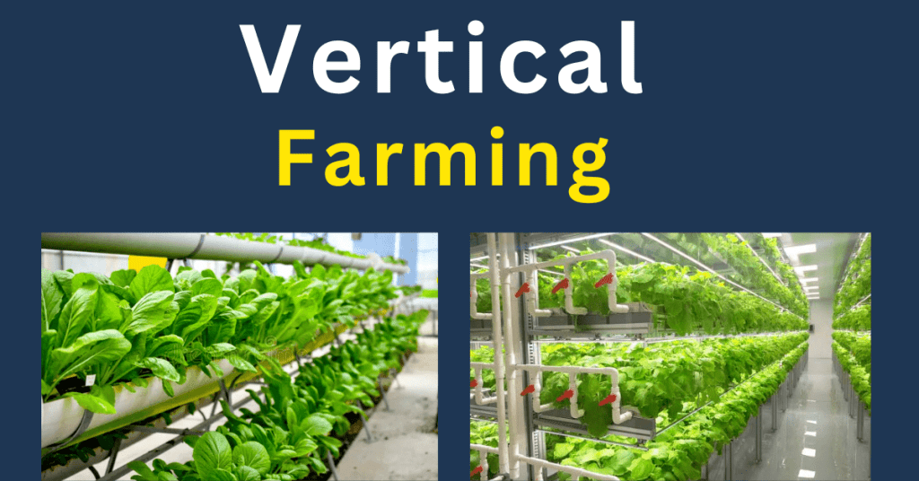 How vertical farming is sustainable solution for tomorrow???