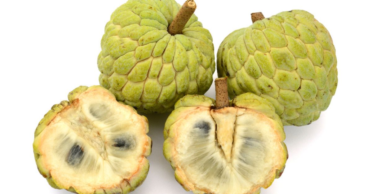 Custard Apple vs Sugar Apple: A Comprehensive Comparison
