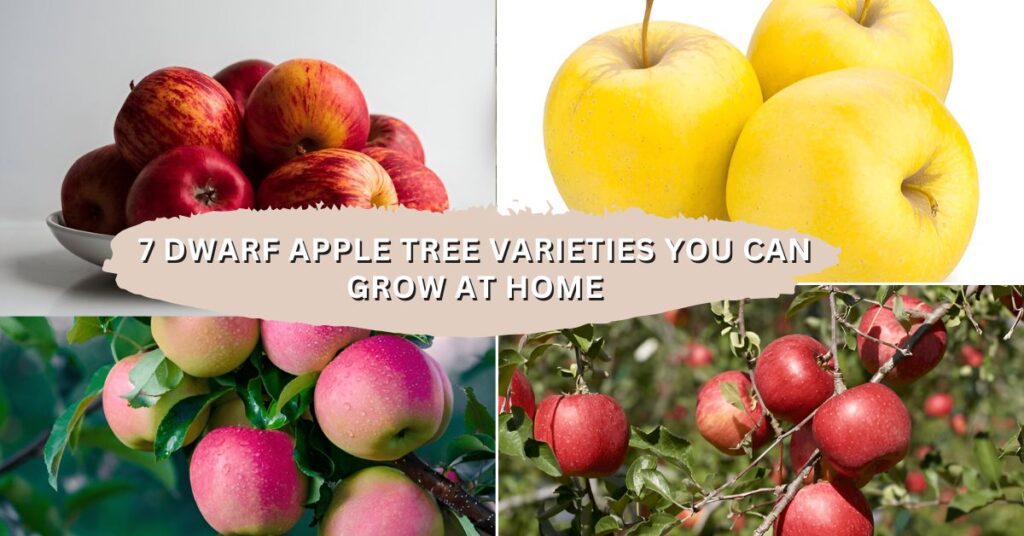 7 Dwarf Apple Tree Varieties You Can Grow at Home