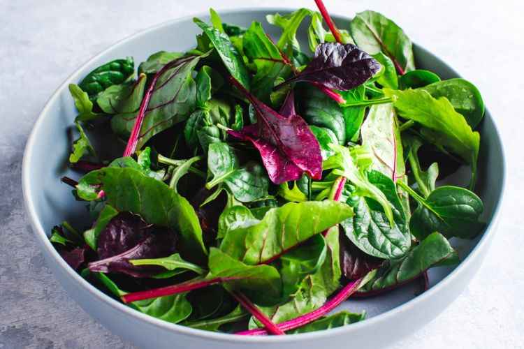 50+ Low Carb Vegetables: Complete Keto-Friendly Vegetables List